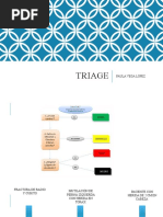 Colores de TRIAGE | PDF | Enfermedades y trastornos humanos | Causas de ...
