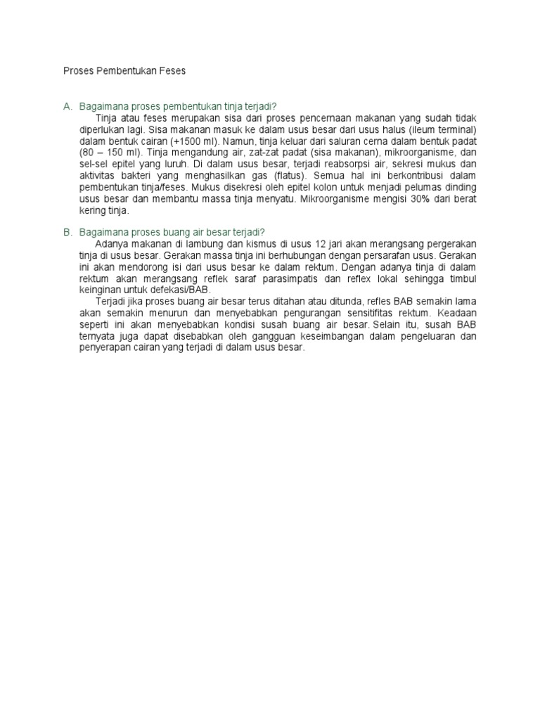 Proses Pembentukan Feses dan Defekasi | PDF | Kesehatan Holistik