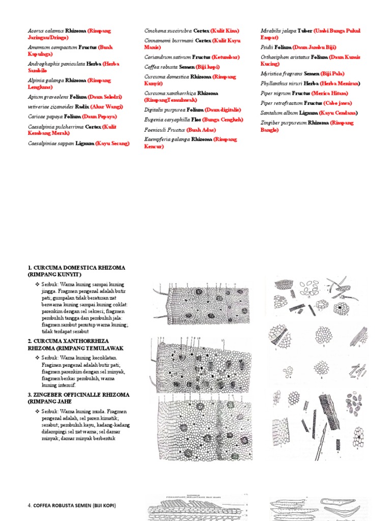 Daftar Simplisia A | PDF