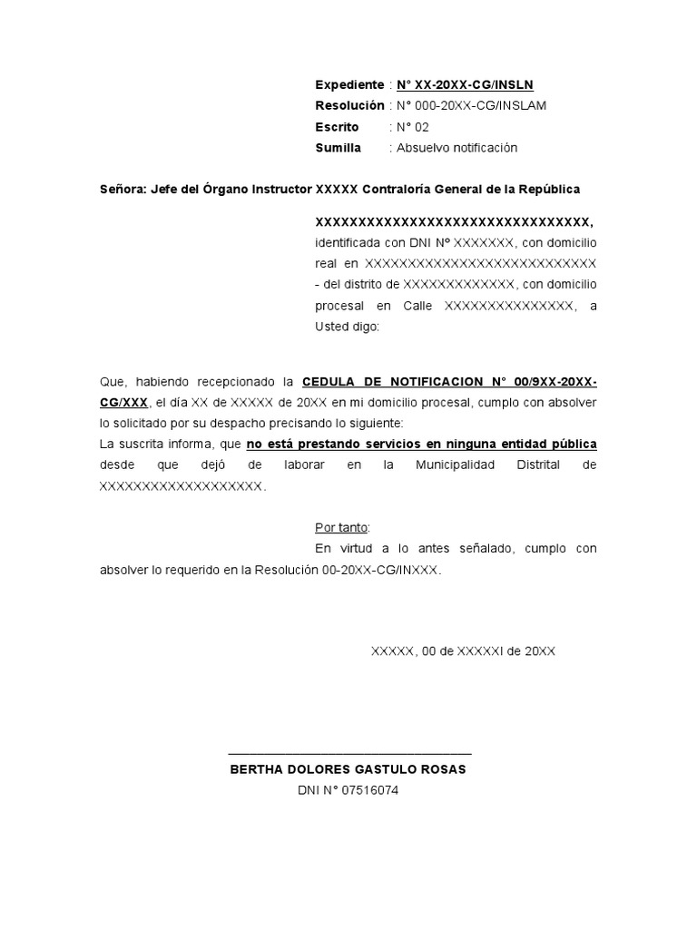 Modelo de Escrito - Informe | PDF