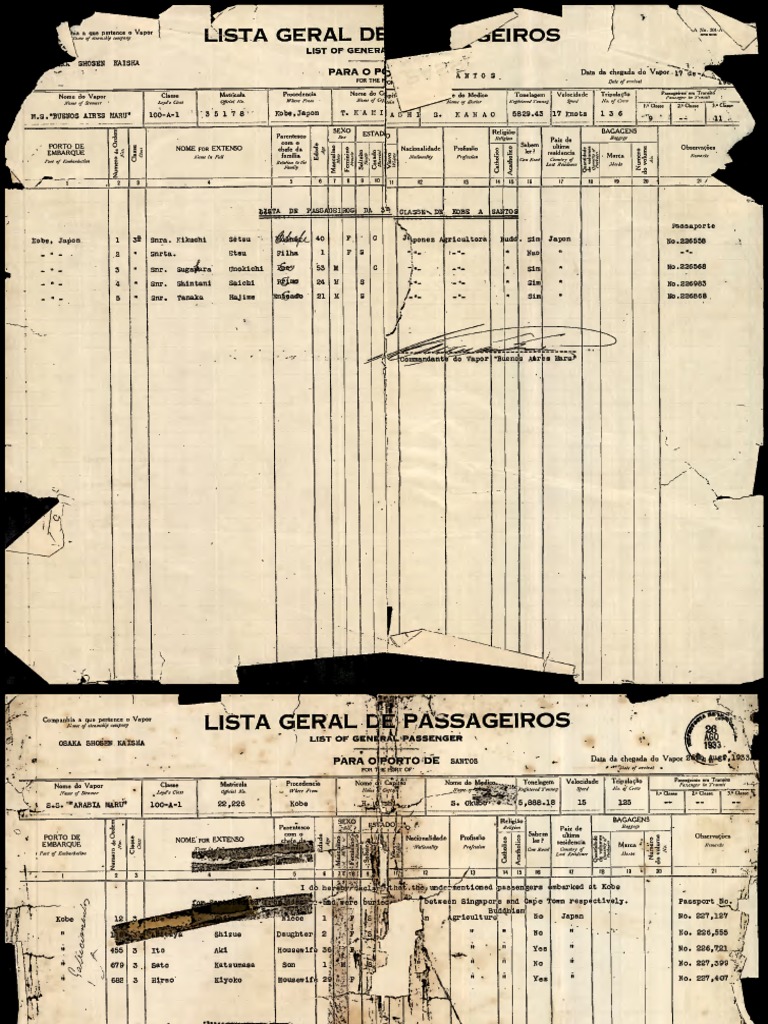 Imigração Japonesa Arabia Maru Hamasaki | PDF