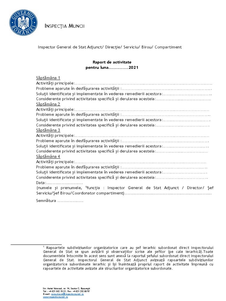 Model Raport de Activitate 2021 | PDF