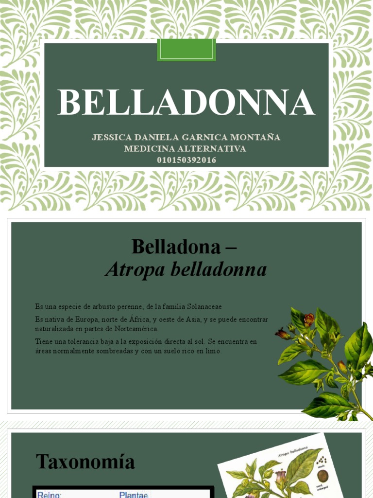 Belladona beneficios contraindicaciones | PDF | Medicina CLINICA ...