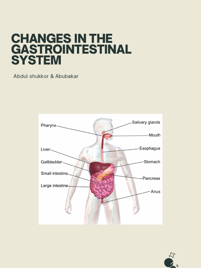 Changes in The Gastrointestinal System: Abdul Shukkor & Abubakar | PDF ...