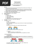 Detailed Lesson Plan (DLP) Format | PDF | Mass | Weight