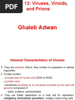 Understanding Skin Normal Flora | PDF | Staphylococcus | Streptococcus