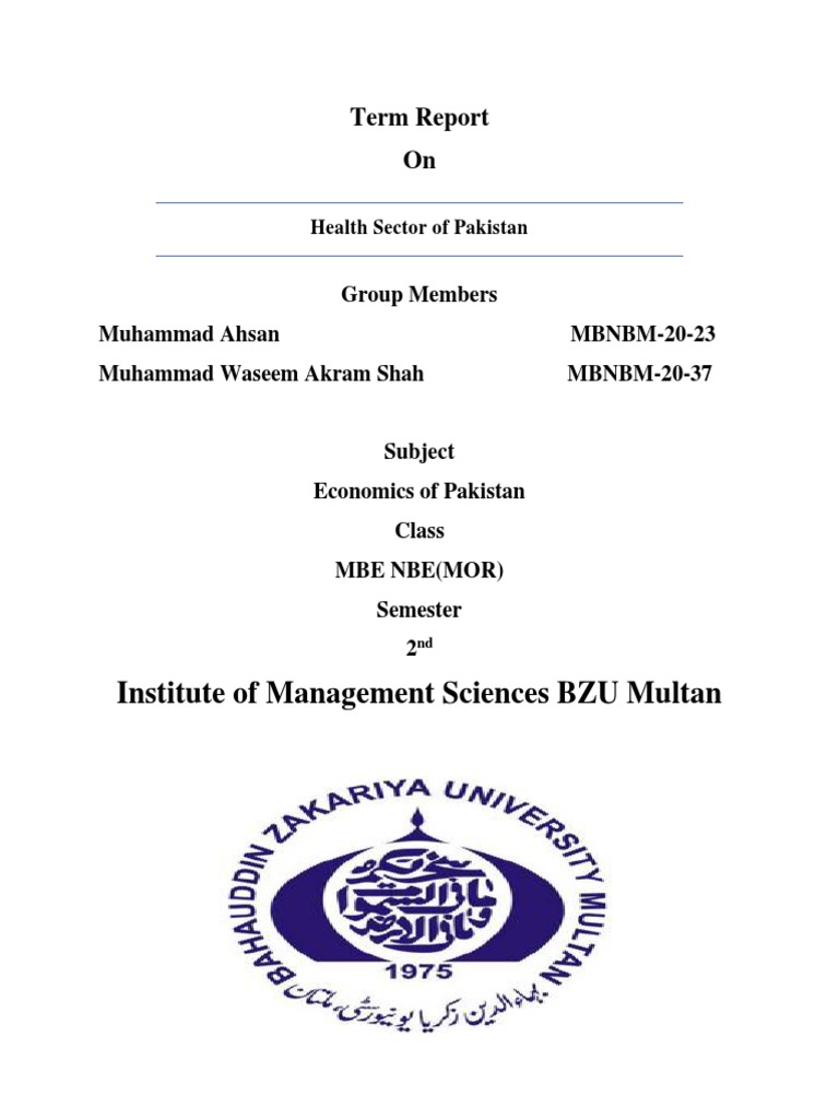 Term Report Group No 10 | PDF | Economic Growth | Health Care