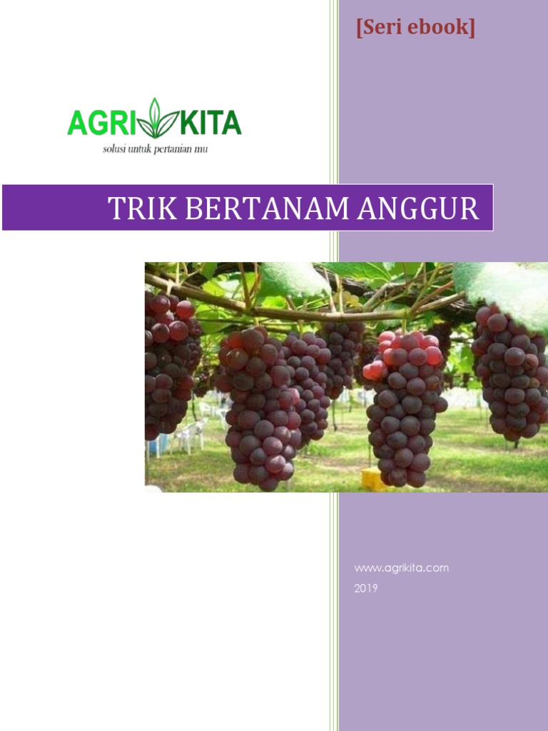 Ebook Anggur | PDF | Teknologi & Rekayasa