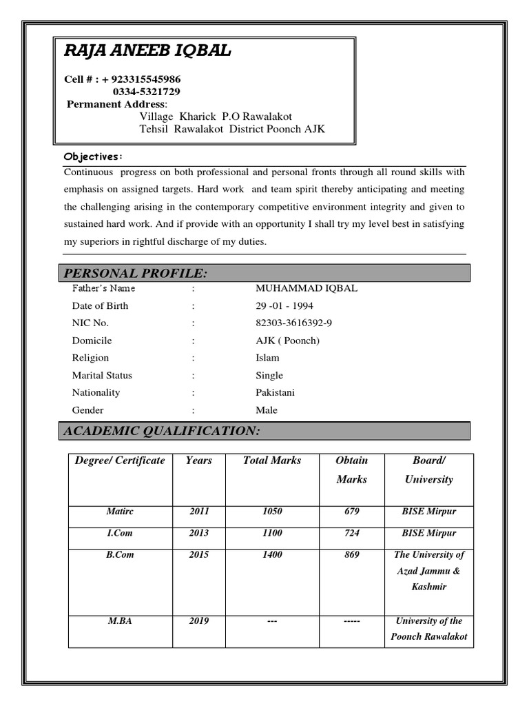 Raja Aneeb Iqbal: Personal Profile | PDF