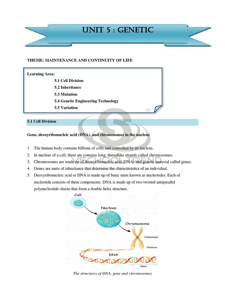 Understanding Genetics: A Comprehensive Look at Cell Division ...