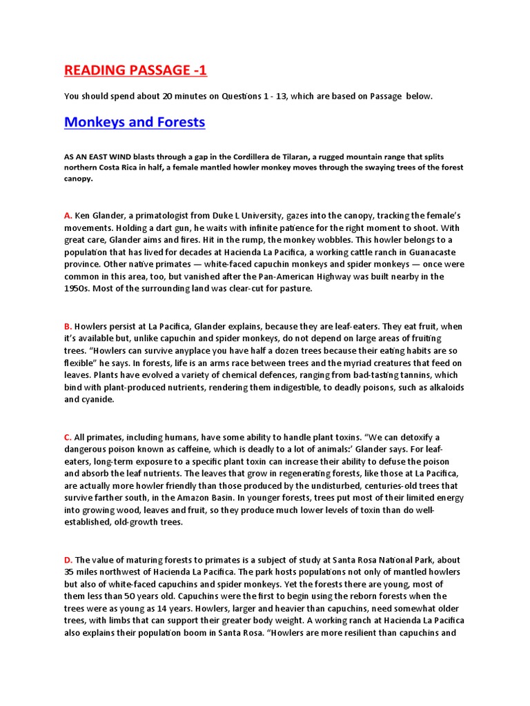 English Reading Test 1 | PDF | Cocoa Bean | Trees