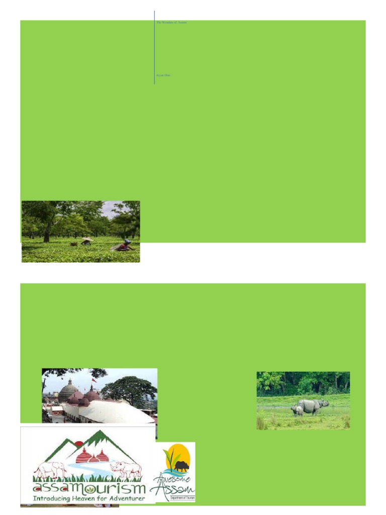 Travel Brochure On Assam - Revised | PDF
