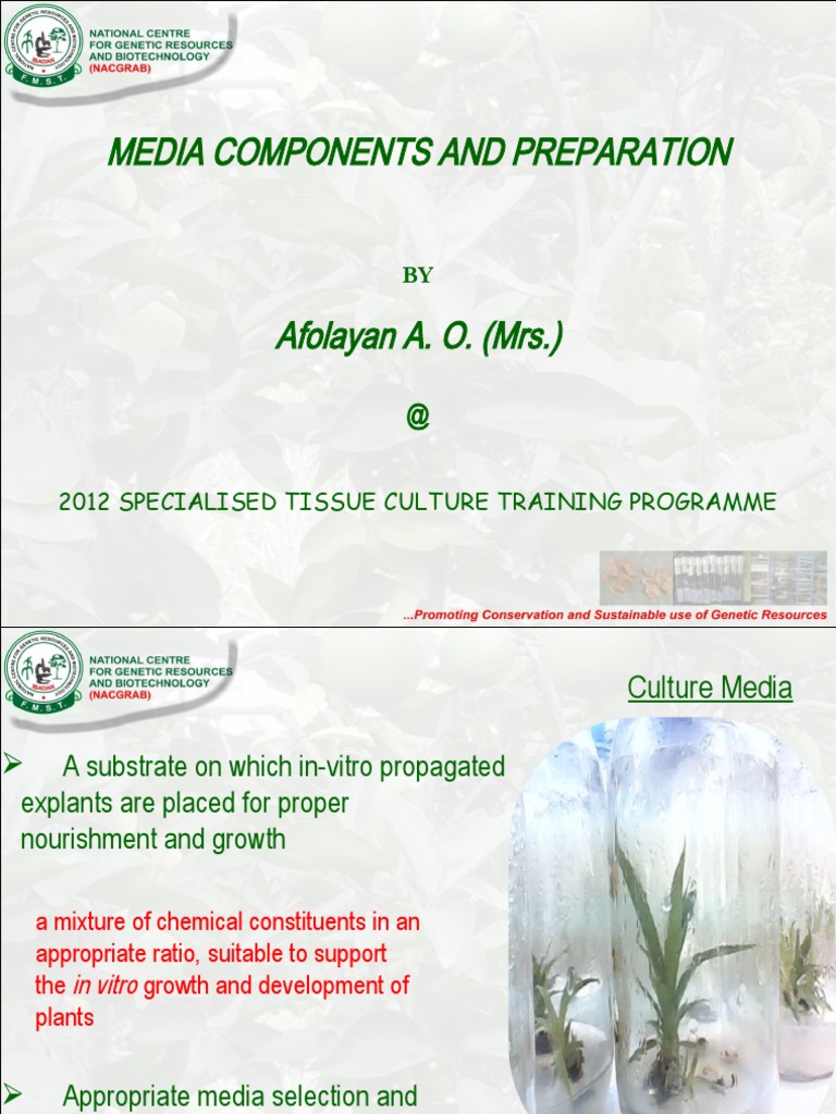 MS Media Components and Preparation | PDF | Plant Hormone | Nutrients