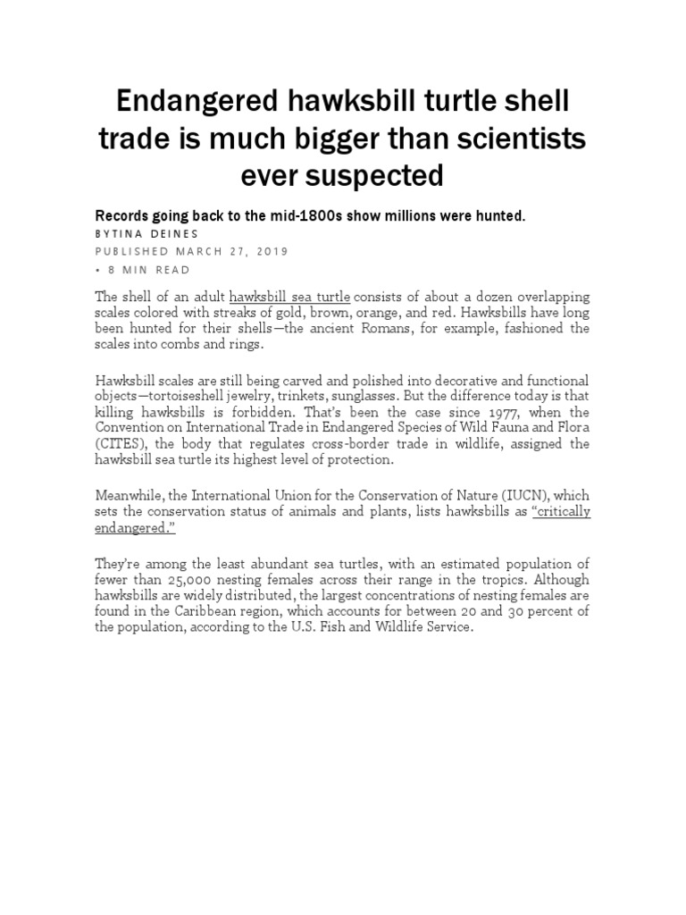 Endangered Hawksbill Turtle Shell Trade Is Much Bigger Than Scientists ...