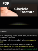 Lumbar Microdiscectomy Physical Therapy Post Op Protocol | PDF ...