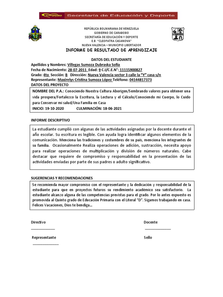 Modelo de Boletas para Primaria | PDF