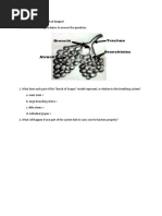 Math Lesson Plan: Sets & Operations | PDF | Set (Mathematics) | Ellipsis