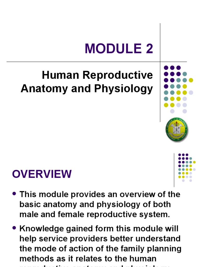Module 2 The Human Reproductive Anatomy and Physiology | PDF ...
