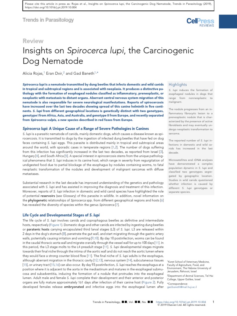 Insights On Spirocerca Lupi, The Carcinogenic Dog Nematode: Review ...