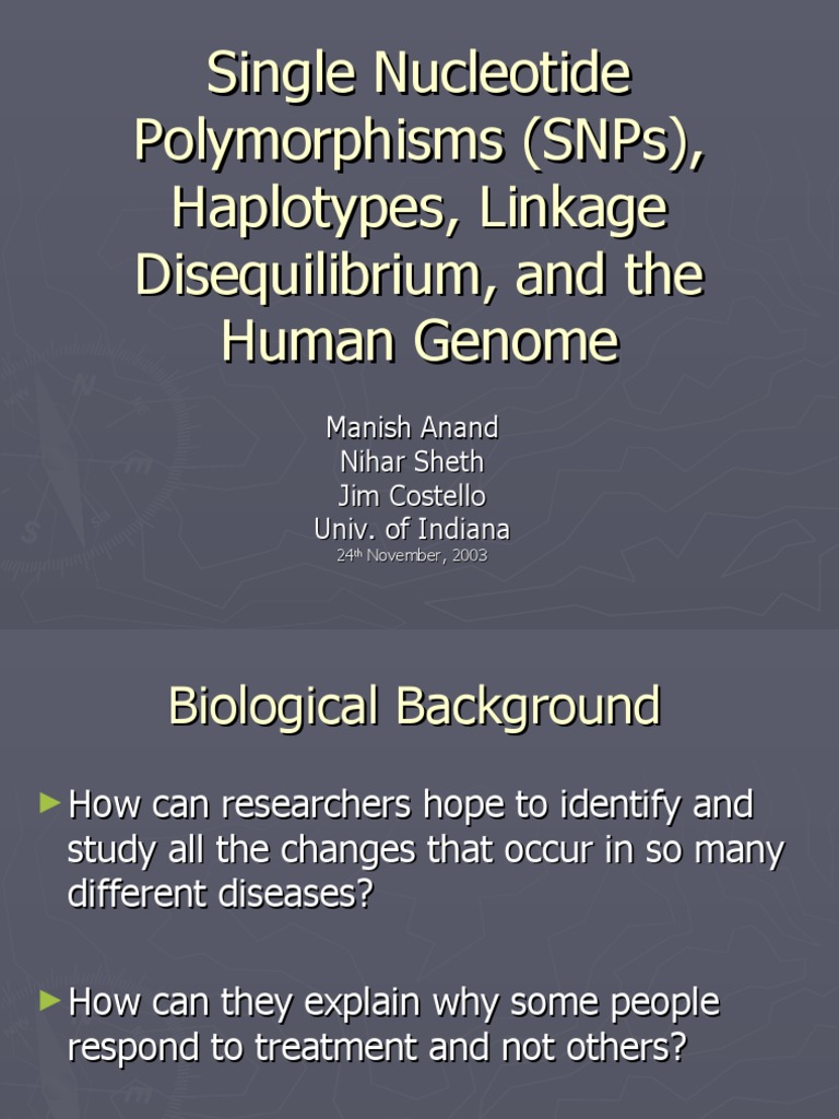 Genetic SNP Sip | PDF | Single Nucleotide Polymorphism | Organisms