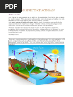 Acid Rain: Environmental Impact | PDF | Fuels | Soil