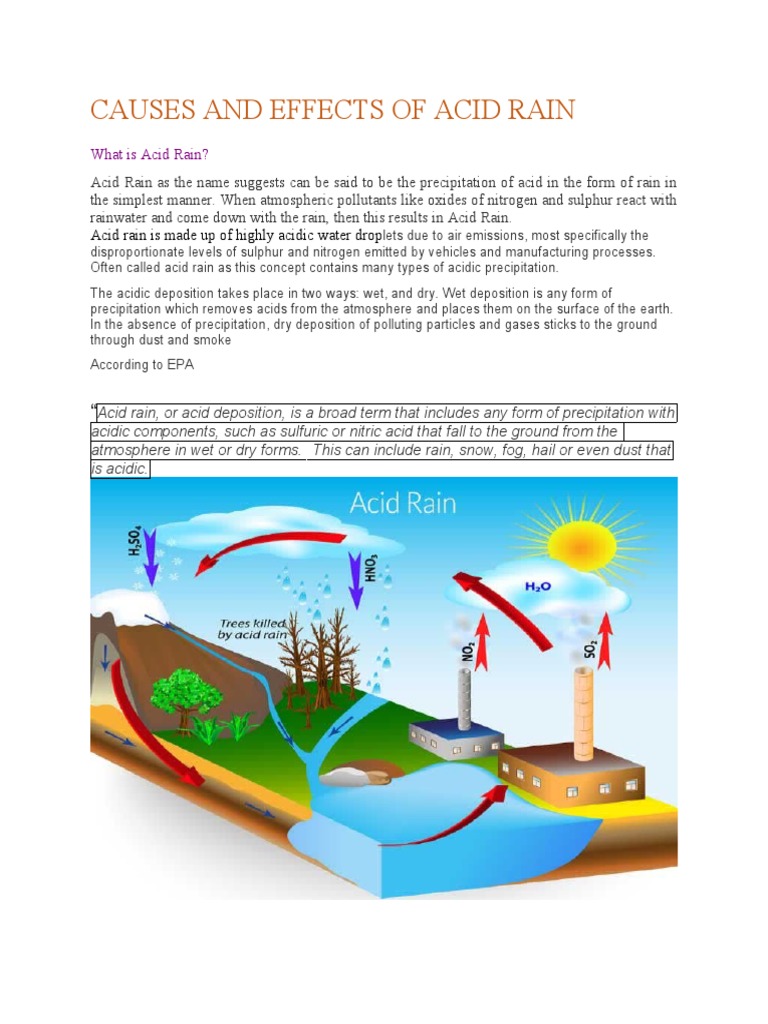 What Is Acid Rain | PDF | Soil | Sulfur