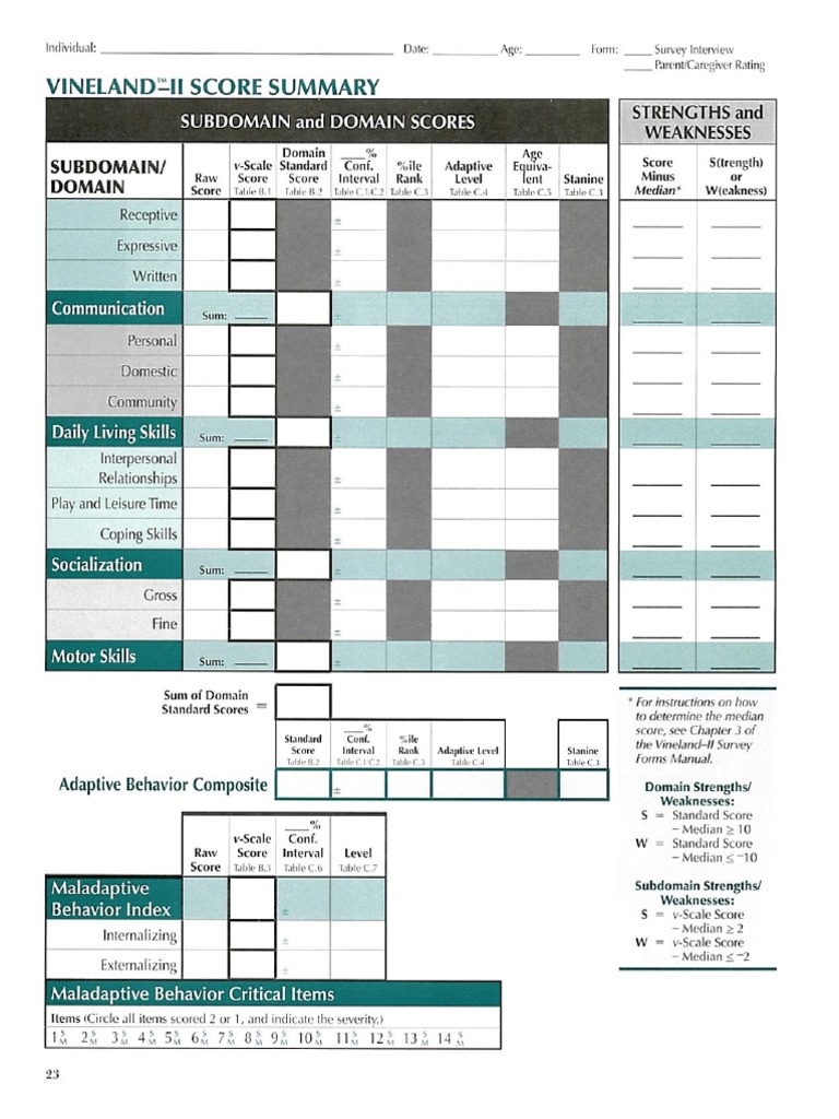 Vineland Score Summary | PDF