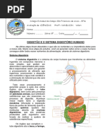 Quimo e Quilo | PDF | Digestão | Estômago