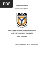 El Regidor y Sus Funciones | PDF | Alcalde | Gobierno local