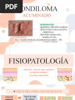 Condiloma Acuminado Oral y VPH | PDF | Epitelio | Especialidades Medicas