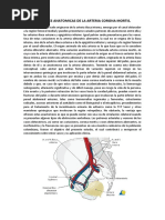 Catálogo de Implantes MIS Seven XD | PDF | Implante dental