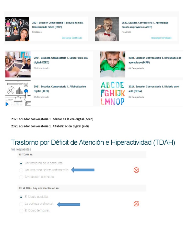 Qué es el DIAP en Ecuador | PDF | Ciencias sociales | Informática