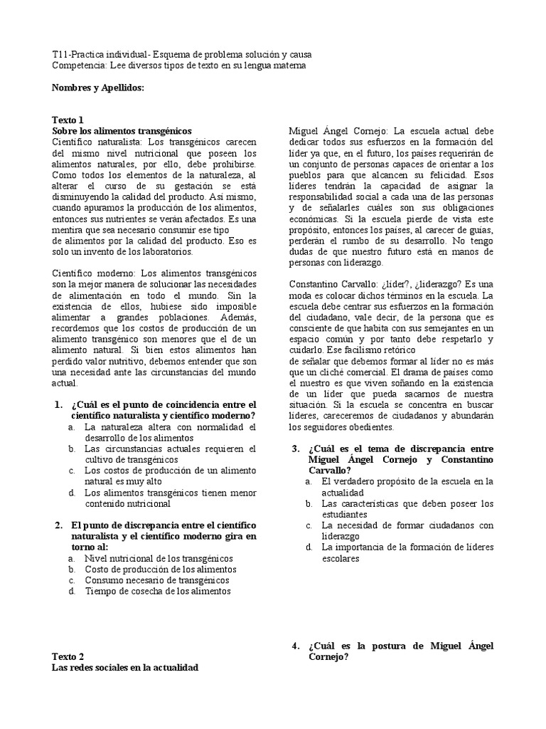 T11-Practica Individual - Esquema de Problema Solución y Causa | PDF | Alimentos | Nutrición