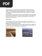 Bordes Transformantes | PDF | Placas tectónicas | Falla (geología)