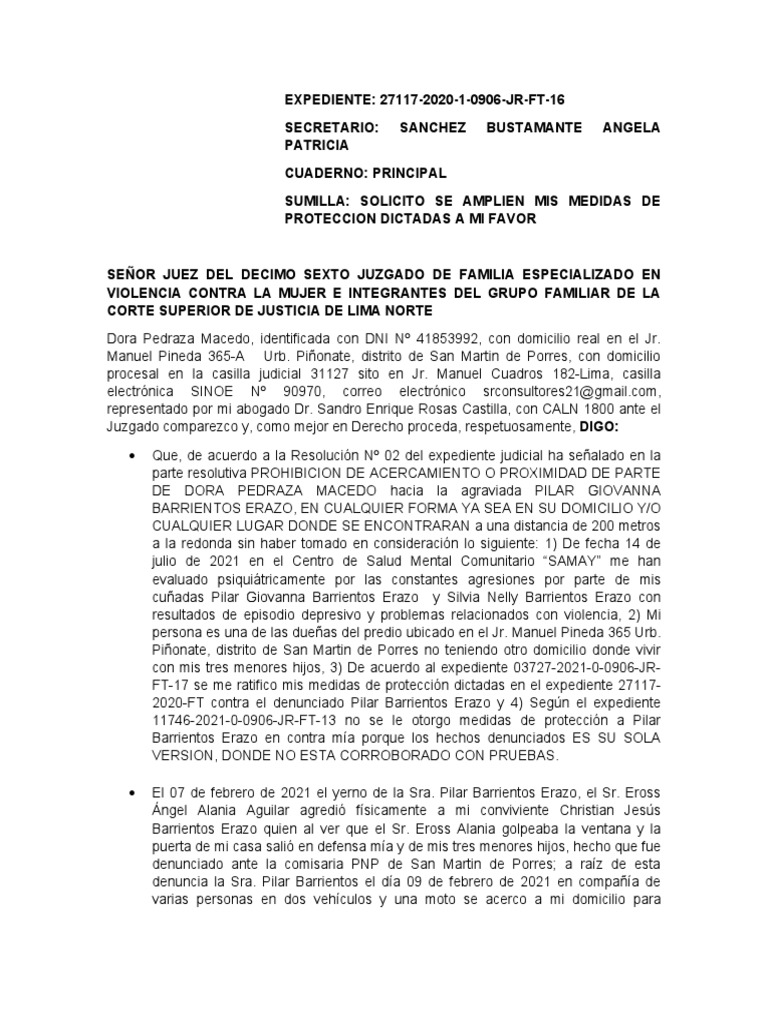 Escrito Juzgado Dora Pedraza | PDF | Esfera pública | Principios éticos