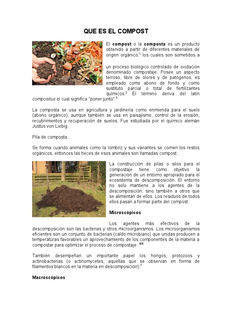 Que Es El Compost | PDF | Compost | Organismos