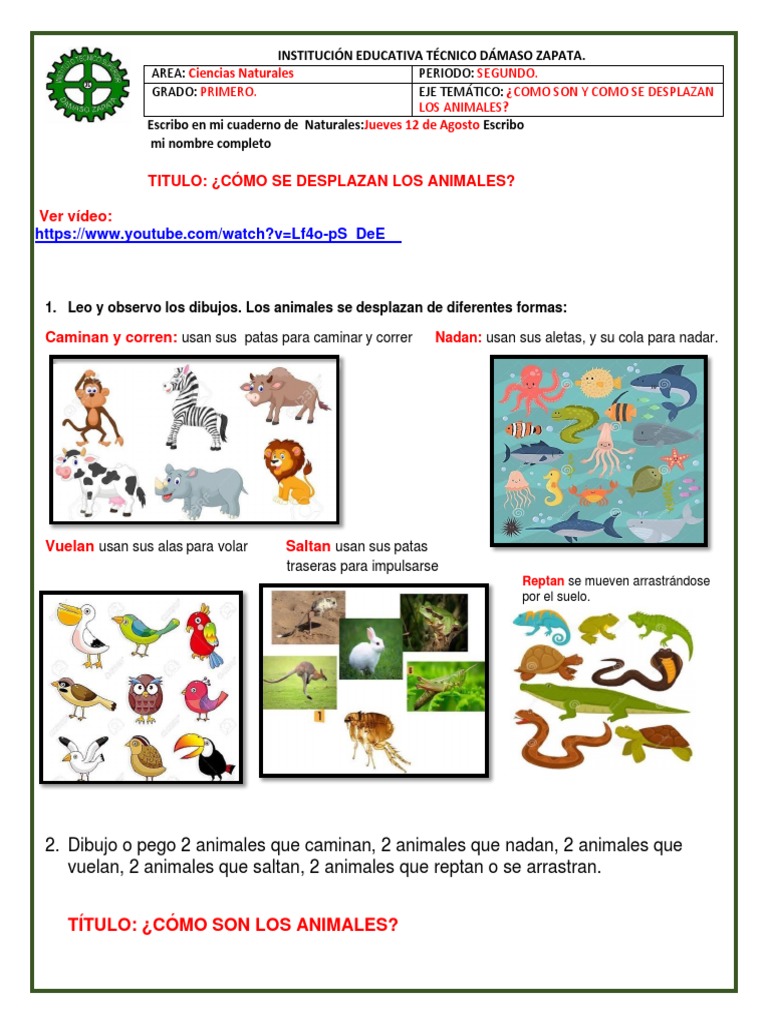Taller Como Son y Como Se Desplazan Los Animales | PDF | Zoología
