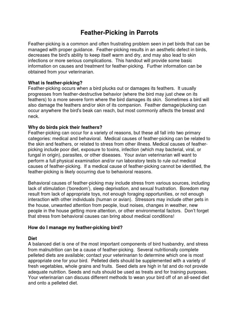 Feather-Picking in Birds | PDF | Birds | Stress (Biology)