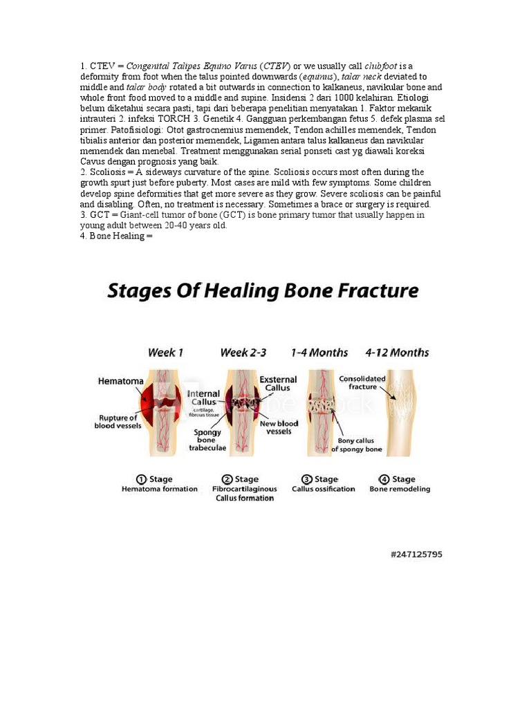 Giant-Cell Tumor of Bone (GCT) Is Bone Primary Tumor That Usually ...