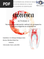 Tecnicas Apico Coronal | PDF | Ramas de Odontología