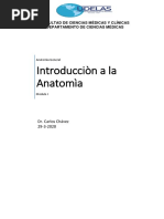 Variantes Anatómicas | PDF | Especialidades Medicas | Medicina CLINICA