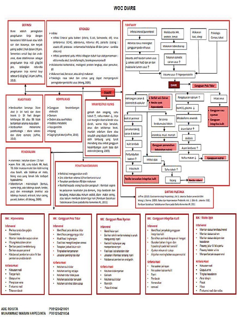 Mind Map Diare | PDF