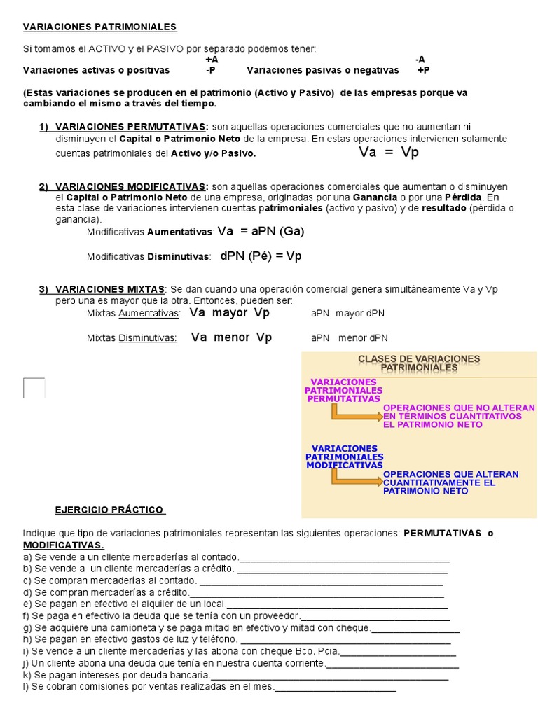 Variaciones Patrimoniales | PDF | Contabilidad | Valor neto
