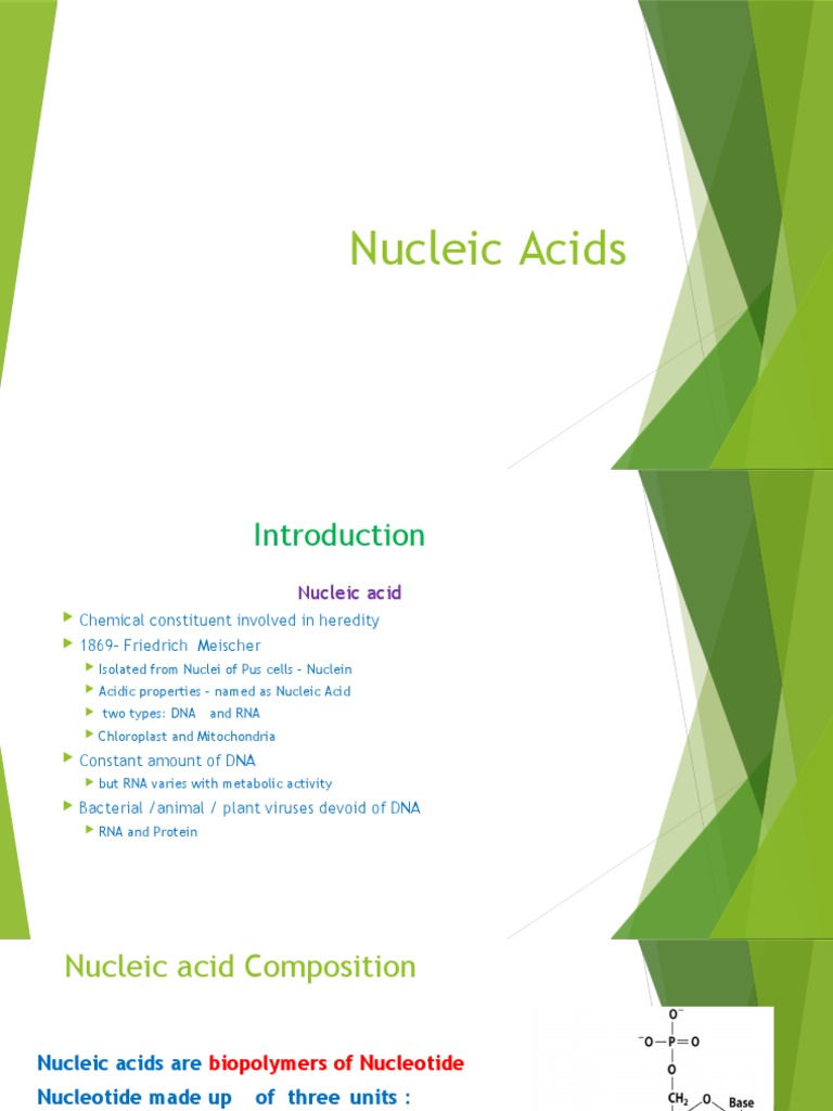 Introduction to Nucleic Acids | PDF | Nucleotides | Nucleic Acids
