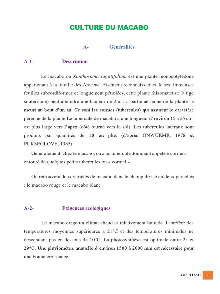 La Culture Du Macabo en Zone Sub-Trocipal - Aubin ESSO | PDF | Plantes ...