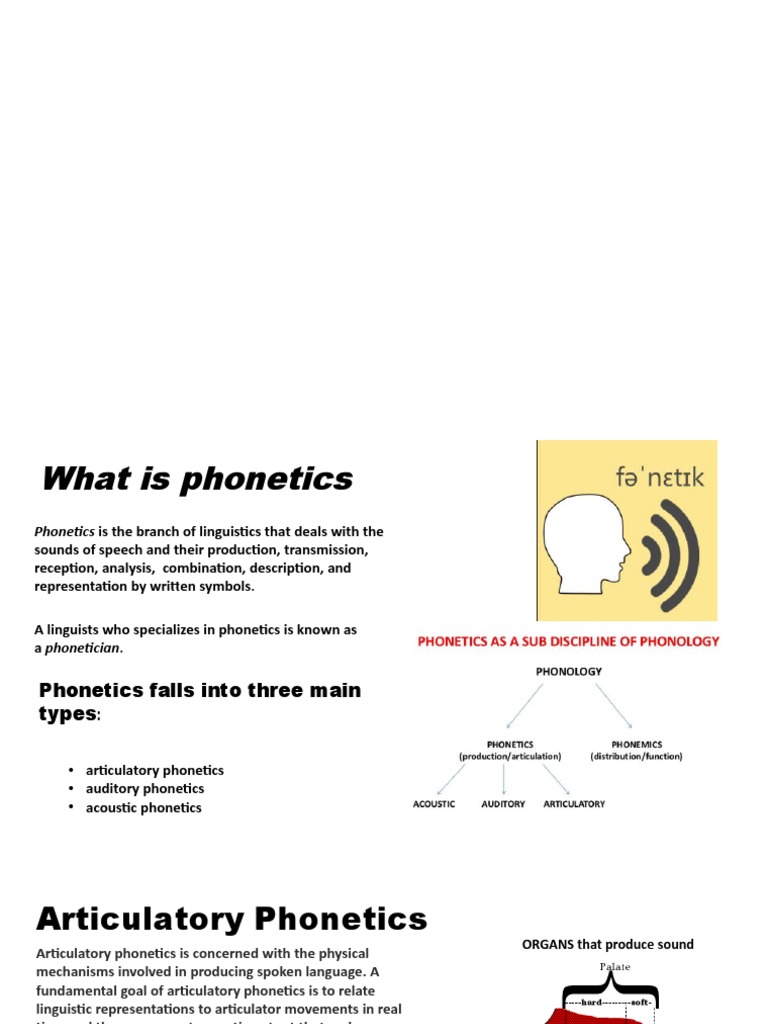Assignment 2 Coms Pdf Phonetics Vowel