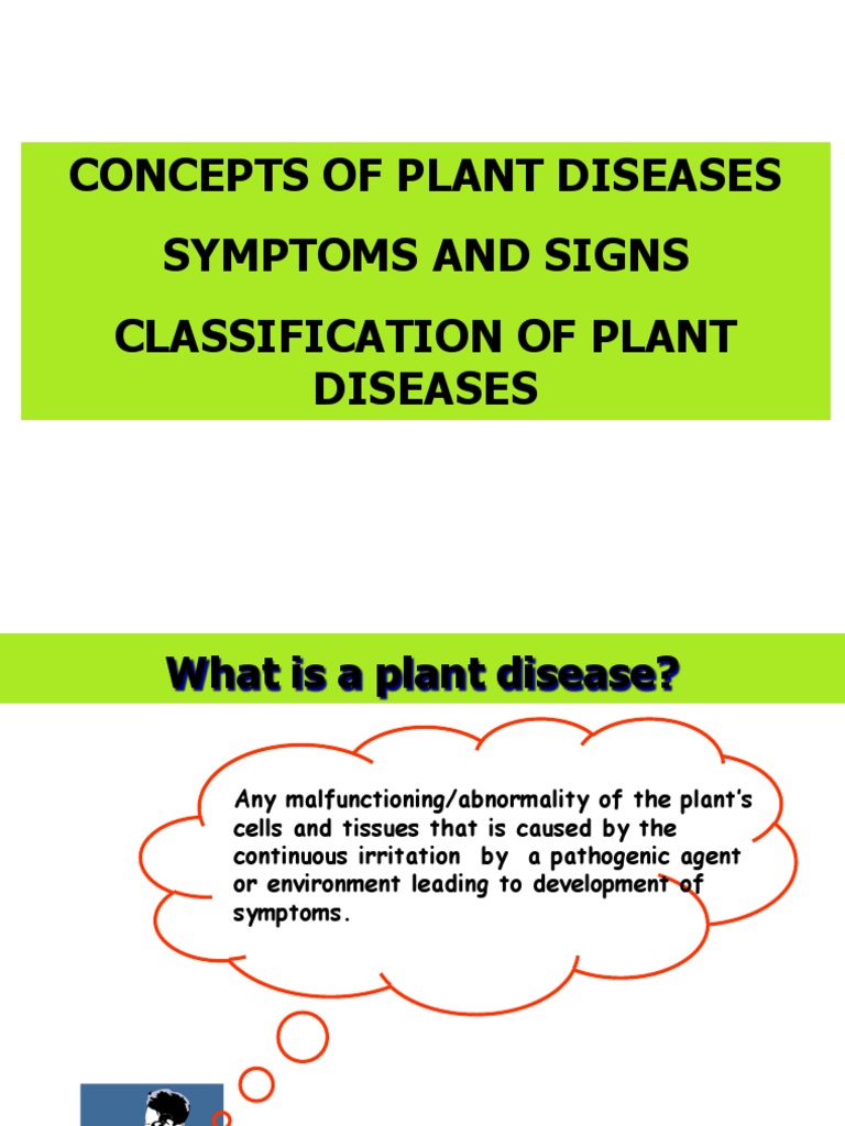 Concepts of Plant Diseases, Diagnosis and Classification | PDF | Plant ...