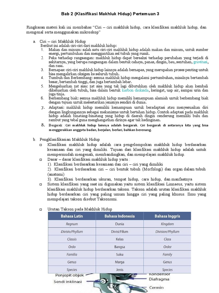 Ipa SMP 7 s1 b2 Part 1 Rita Purwanti | PDF