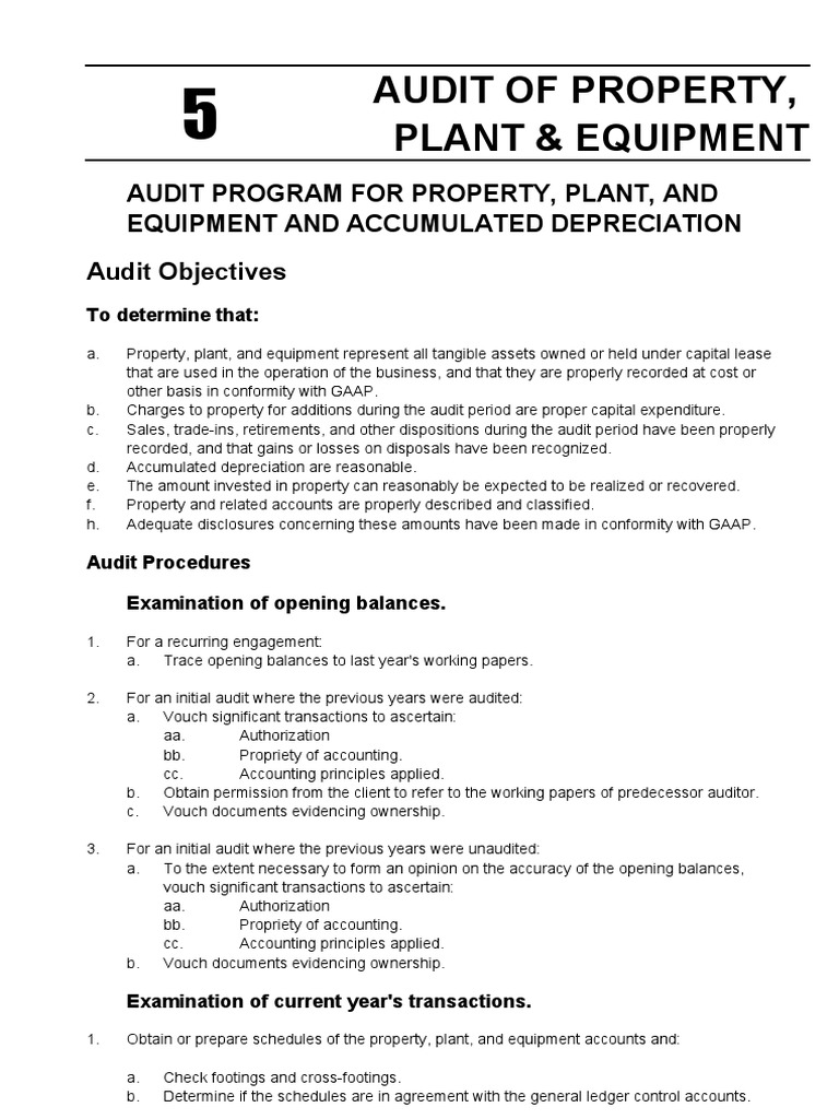 Audit of Property, Plant & Equipment | PDF | Depreciation | Book Value