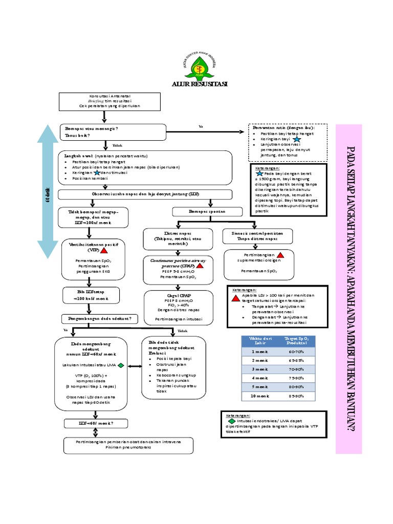 Alur Resusitasi Neonatus IDAI | PDF
